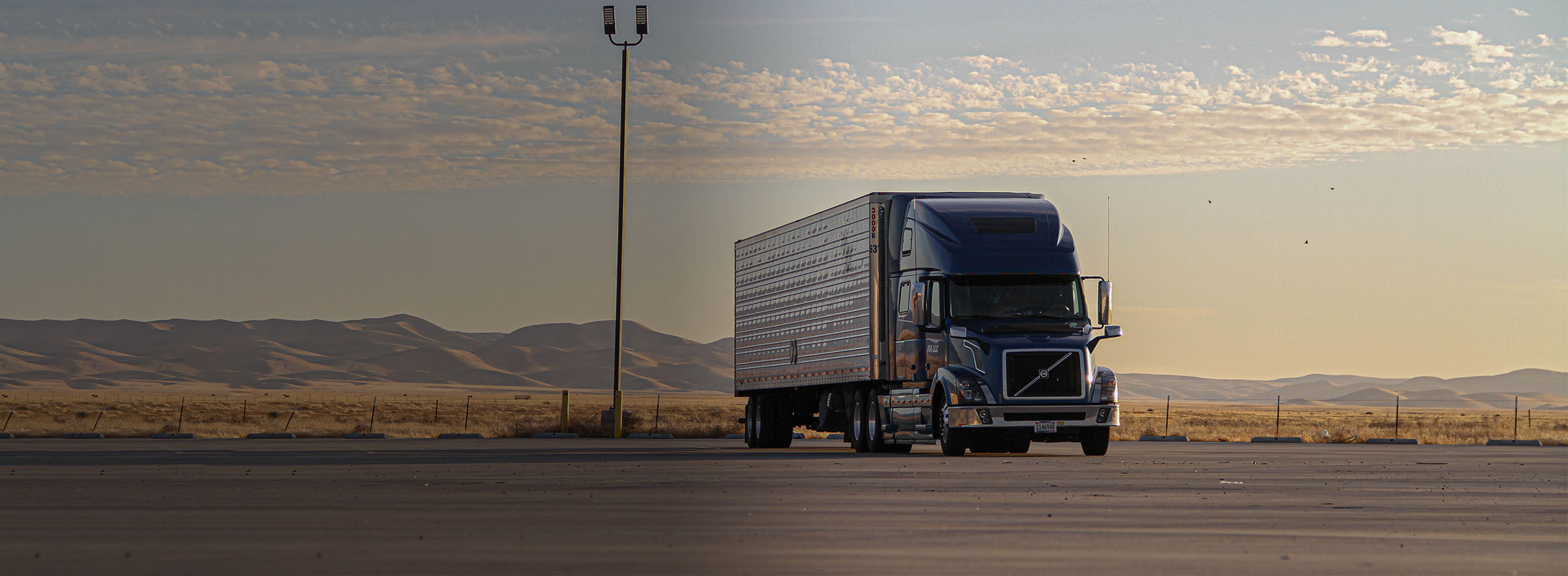 Freight Shipping | Trucking | Transportation Services | AMS Carriers